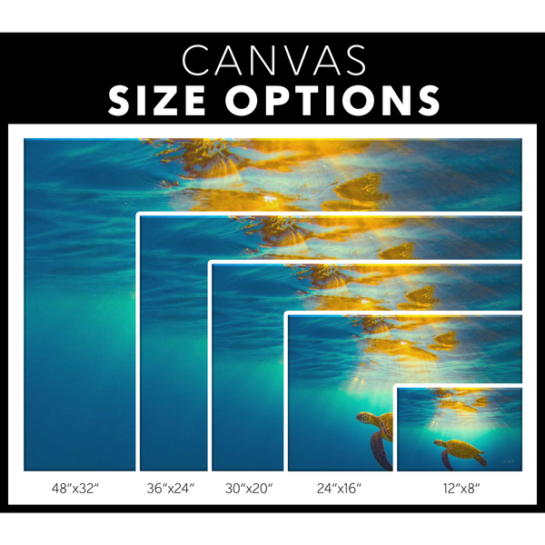 "Connected" Canvas - Wet Dreamz Hawaii